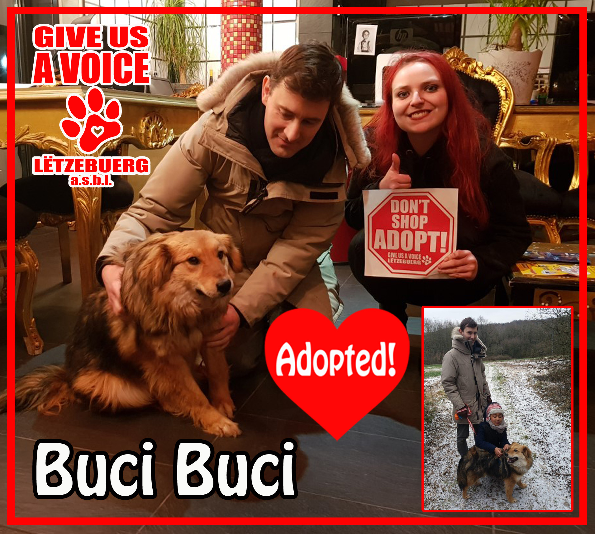 Buci Buci finds a family! | Give Us A Voice