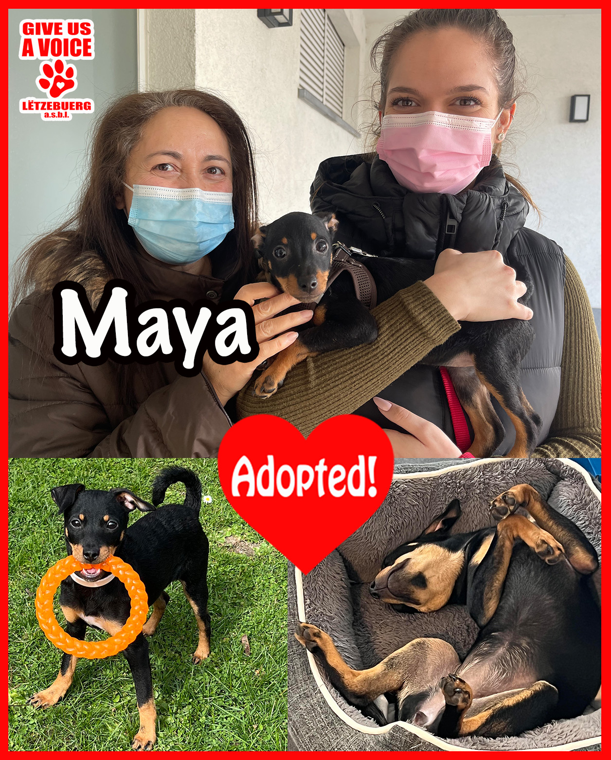 Maya gets a second chance! | Give Us A Voice